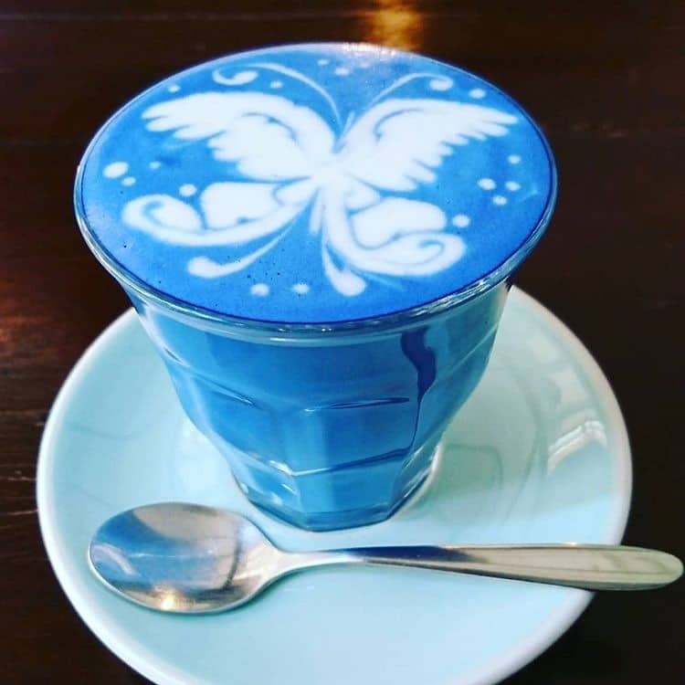 Los beneficios del té matcha azul para tu salud - m360.cl