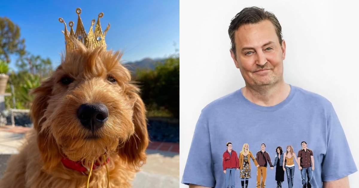 ¡Era fake! Matthew Perry no tenía perrito al momento de morir - m360.cl
