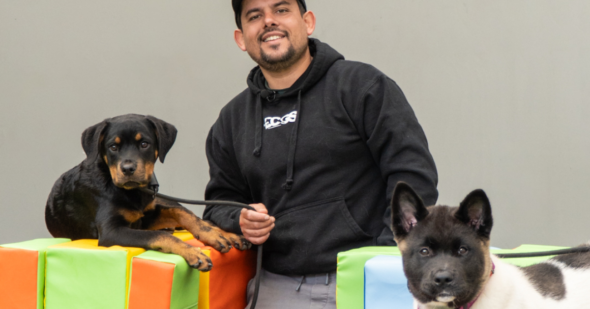 Conoce "Gym Dog", el gimnasio que ofrece bienestar a tu perro - m360.cl